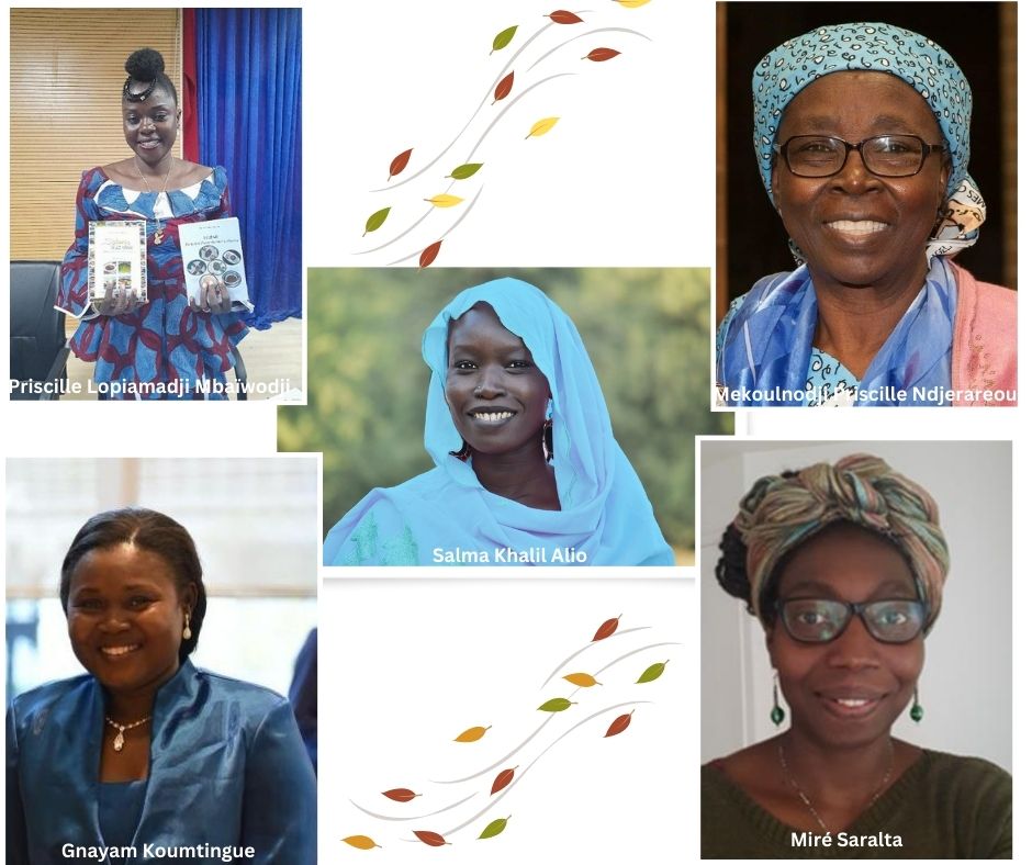 Ces braves femmes tchadiennes qui nous inspirent – We Write Afrika